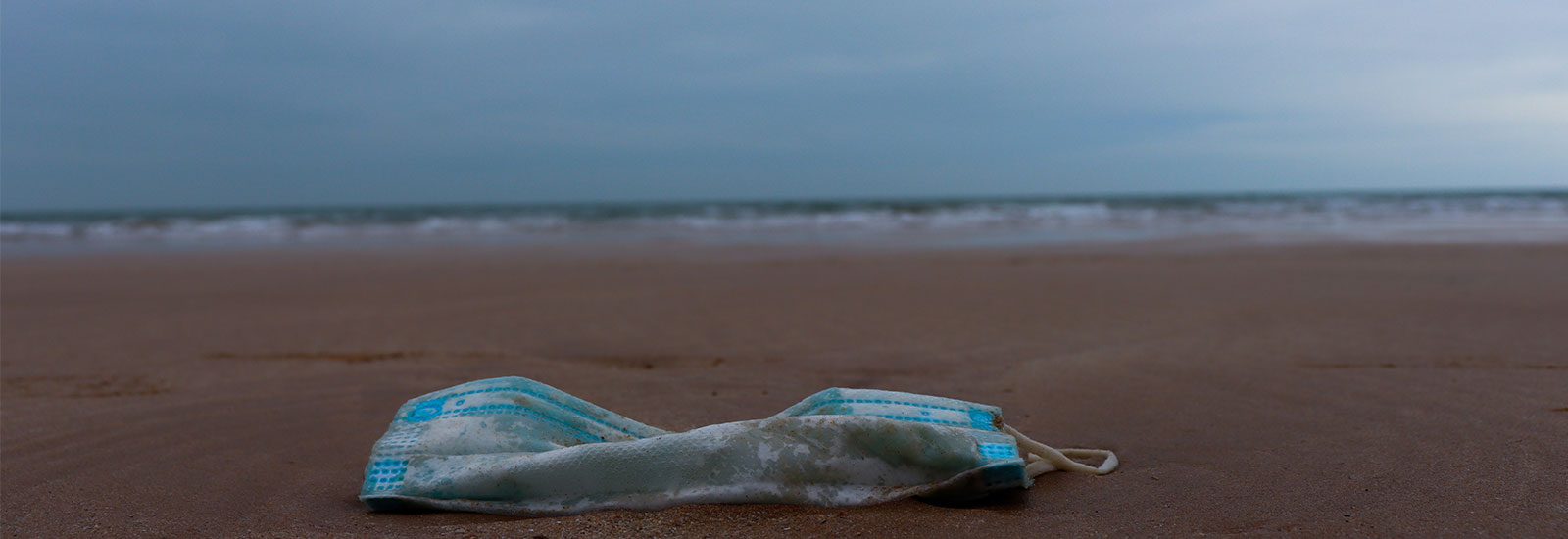 上海仁渡海洋公益发展中心